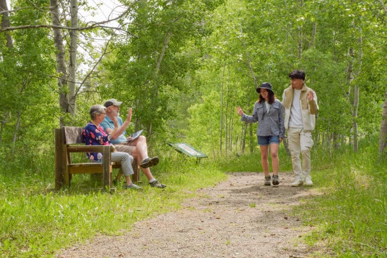 Explore the Best Red Deer Hiking Trails - Tourism Red Deer | Official ...
