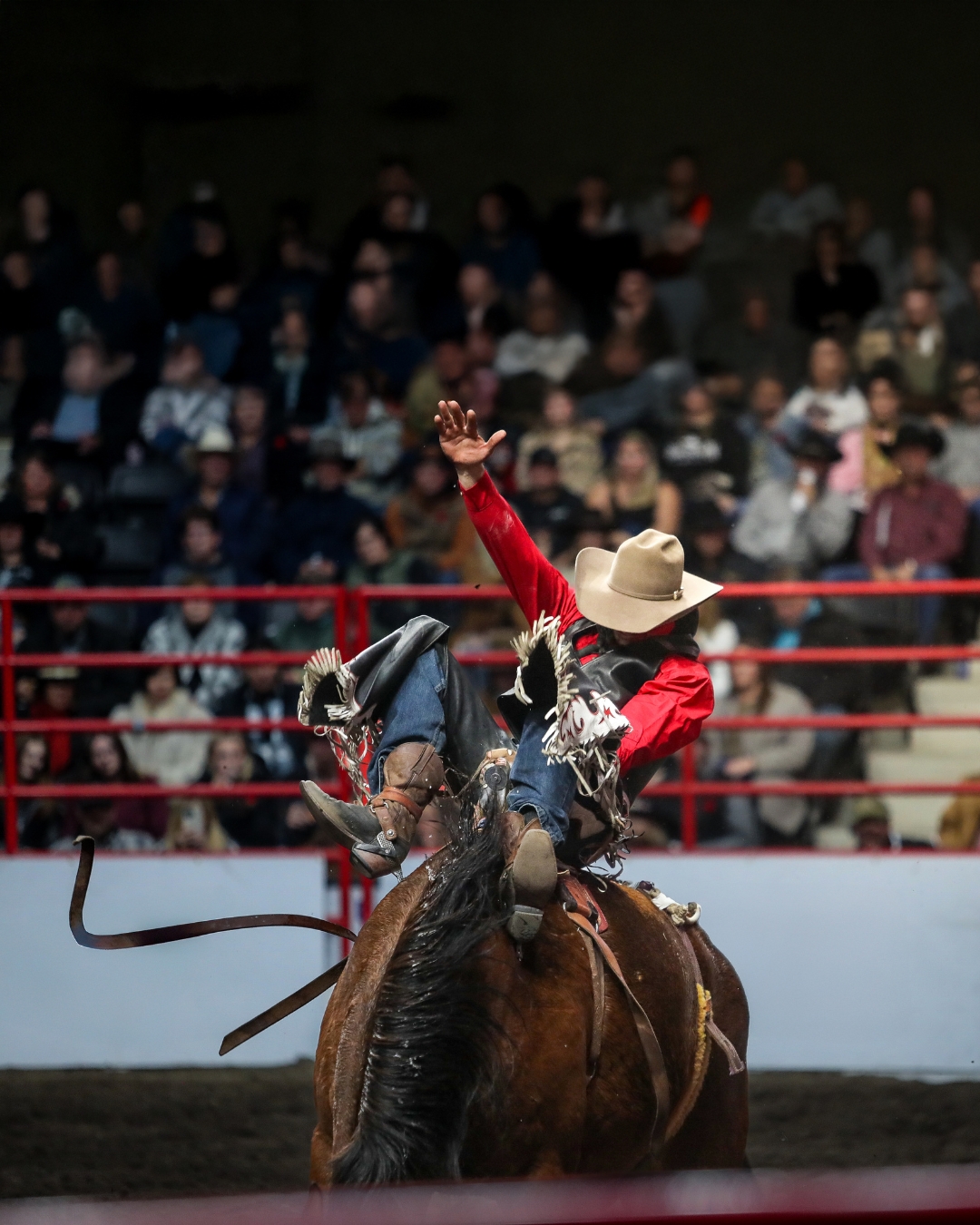 Great Red Deer Pro Rodeo 2026: Tickets, Schedule & Event Guide